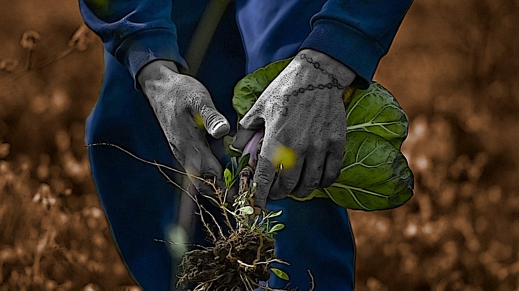 The Food Chain - Food as rehabilitation - BBC Sounds