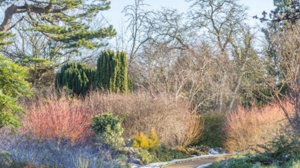 The Great Outdoors - CUBG Winter Garden: Tour - BBC Sounds