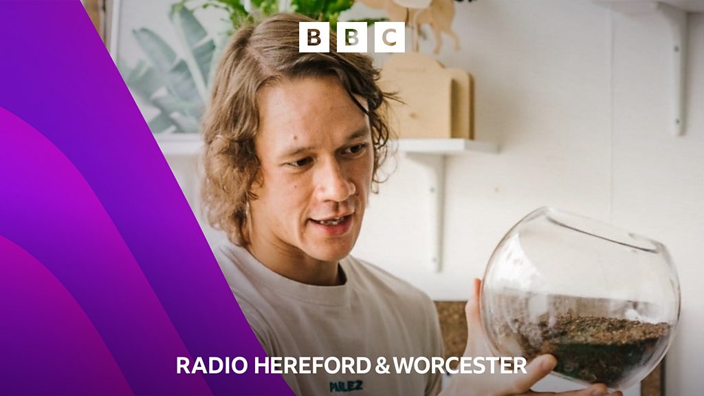 Worcester Terrariums: going global - BBC Sounds