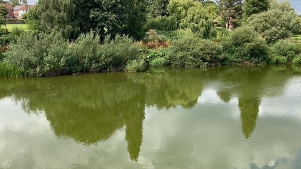 Toni McDonald on BBC Hereford & Worcester - Can new cross-border plans ...