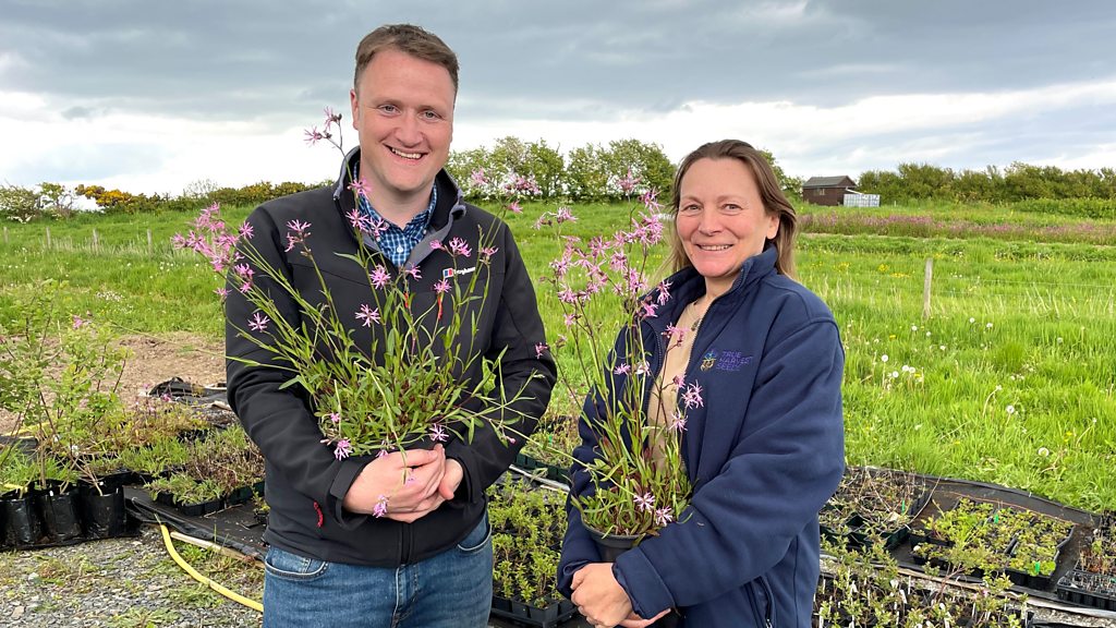 Gardeners' Corner - Native seeds, an artist's haven and exotic seaside ...