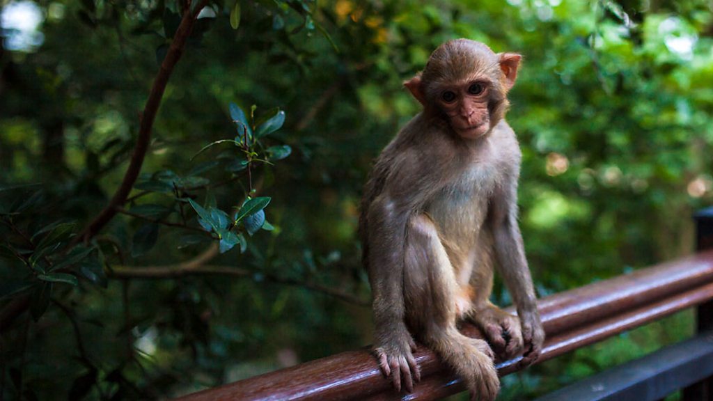 Learning English Grammar - Narrative tenses - BBC Sounds