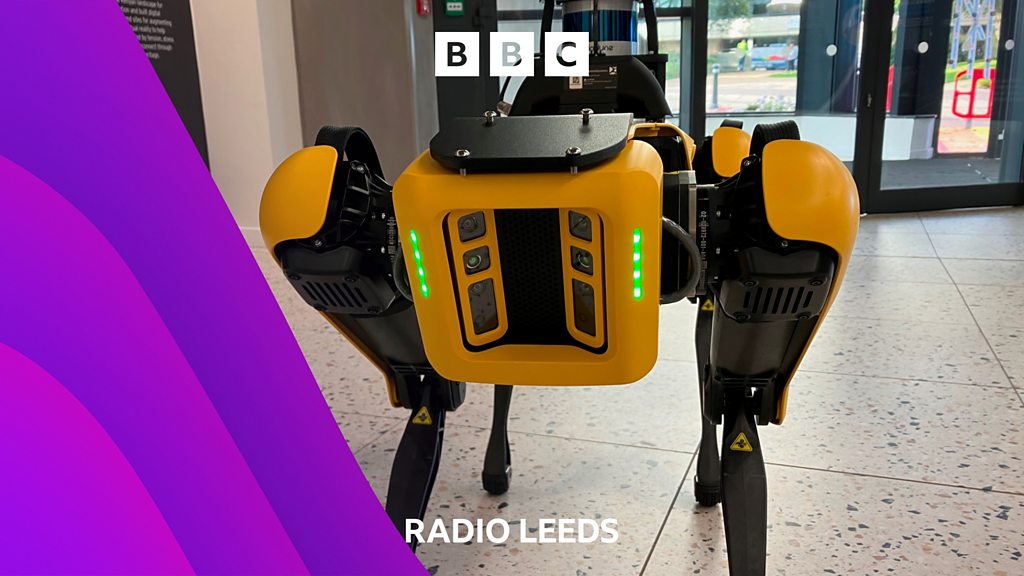 Bradford Uni unveil 'robot-dog' - BBC Sounds