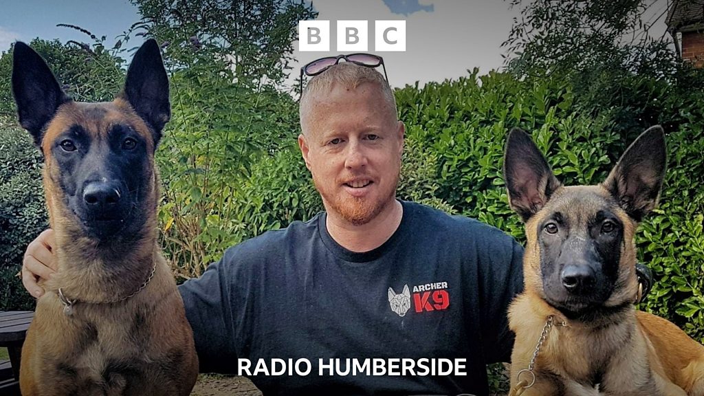Hull Dog Trainer Calls for XL Bully Breeding Licenses - BBC Sounds