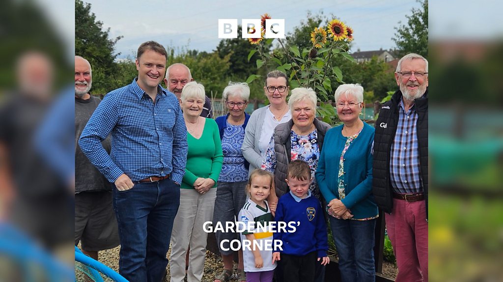 Gardeners' Corner - How to prune your apple trees? Success with spuds ...