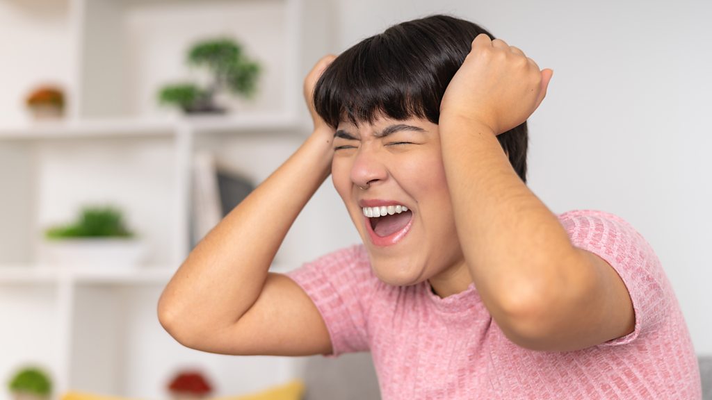 BBC Audio | 6 Minute English | Sounds that make you want to scream
