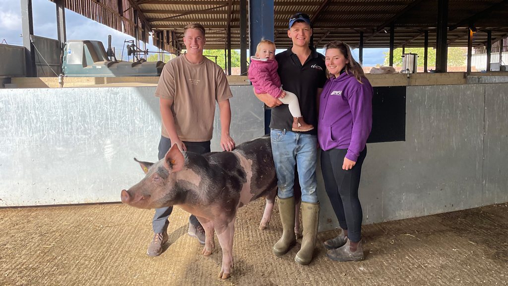 On Your Farm - Farmer Will in the Chilterns - BBC Sounds