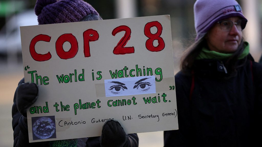 World Business Report - What is the COP28 loss and damage fund? - BBC ...