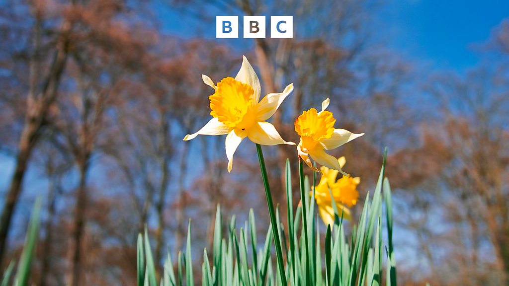 Spring Stories - Only Works in the Spring - BBC Sounds