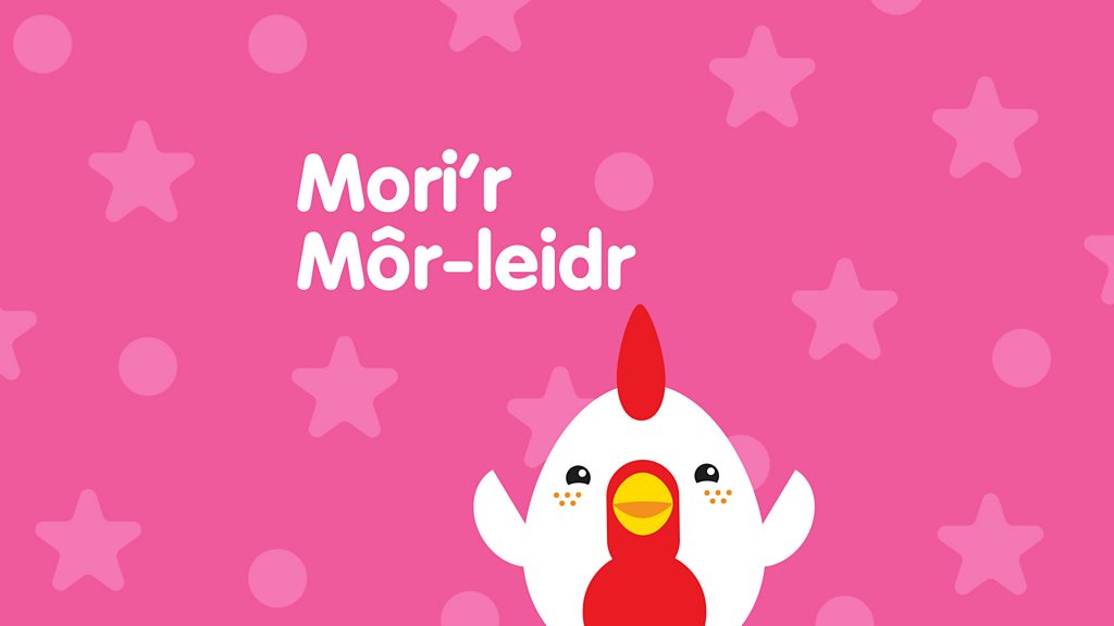 Stori Tic Toc - Mori'r Môr Leidr - BBC Sounds