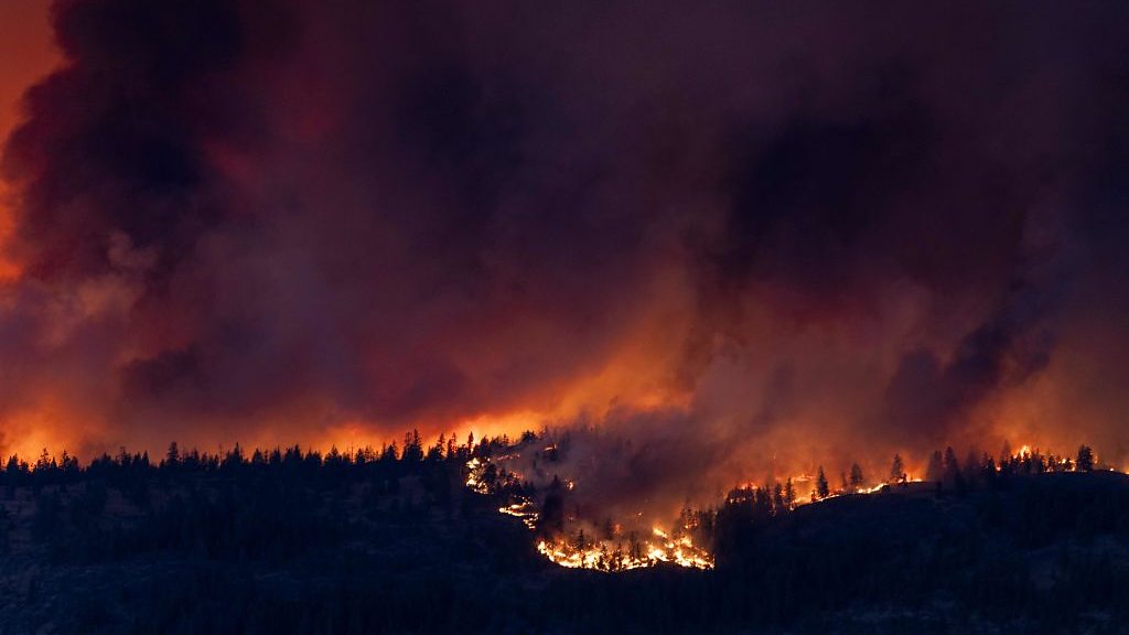 Science In Action - Impacts of global warming - BBC Sounds