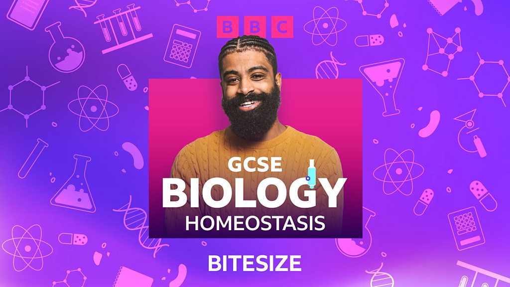 BBC Sounds - Bitesize GCSE Biology - Available Episodes