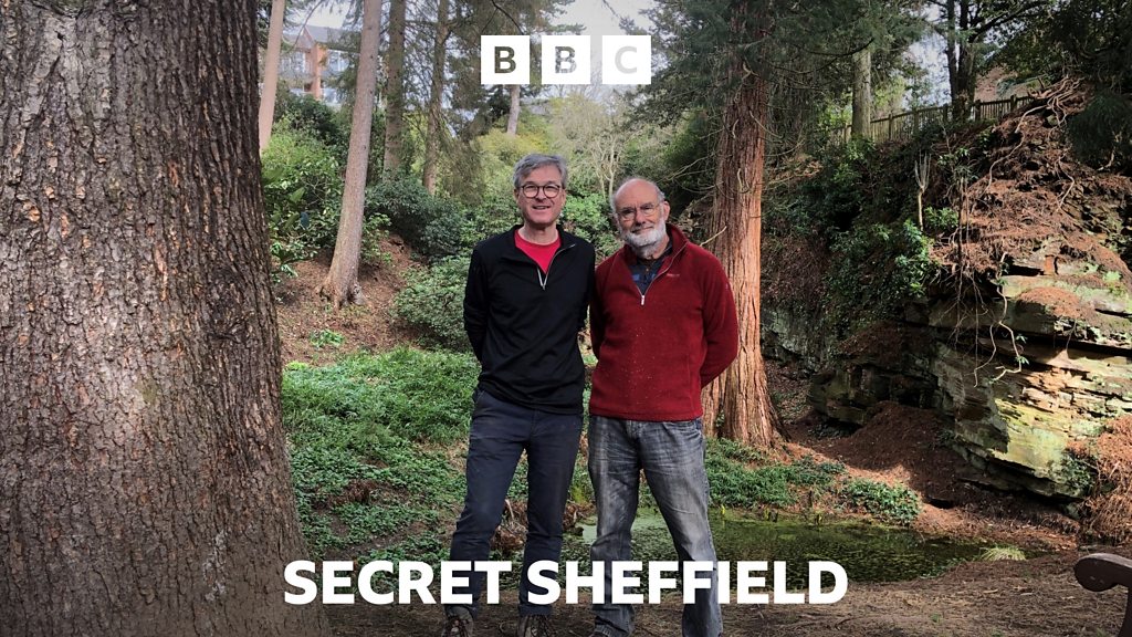 Secret Sheffield: A bit of California in the city - BBC Sounds