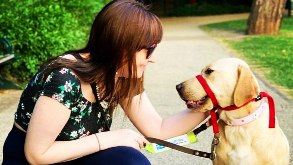 Pick of the World - 'How I keep my guide dog Nancy fit' - BBC Sounds