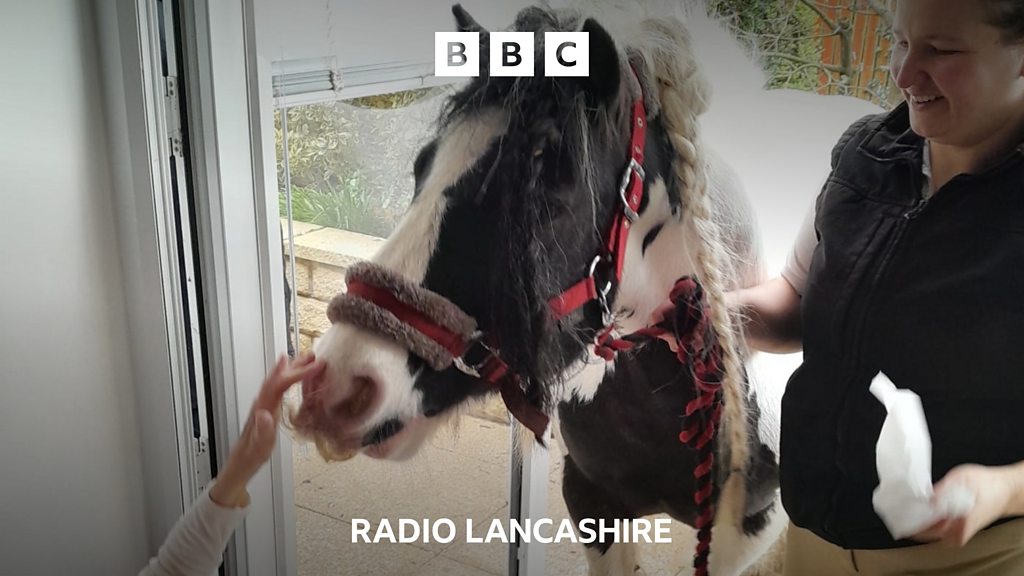 Ponies visit Pendleside - BBC Sounds