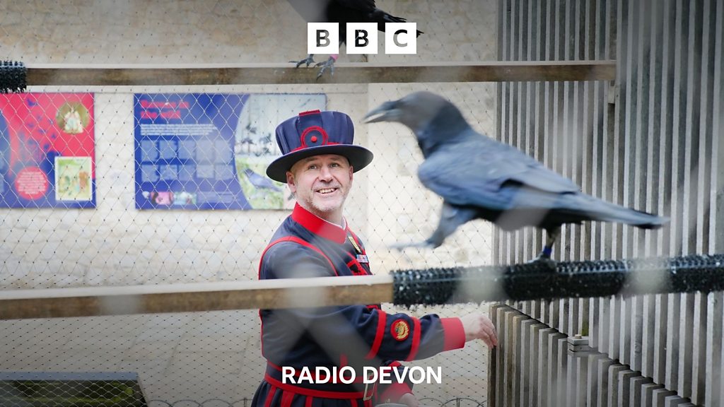 From Royal Marine to Ravenmaster - BBC Sounds