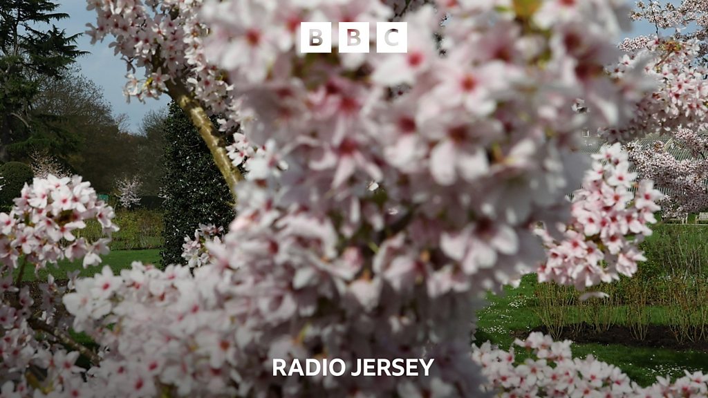Alison Moss - Ready to SPRING into some seasonal poetry? - BBC Sounds
