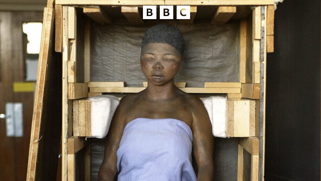 Witness History - Sarah Baartman's 200-year journey back home - BBC Sounds