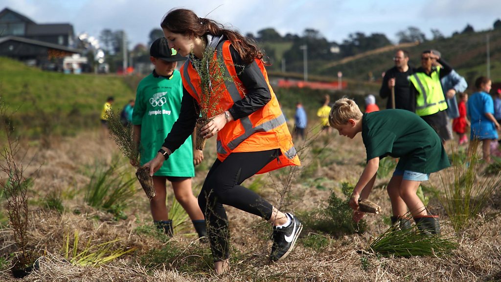 Not by the Playbook - Eliza McCartney: Olympic dreams a leap of faith ...