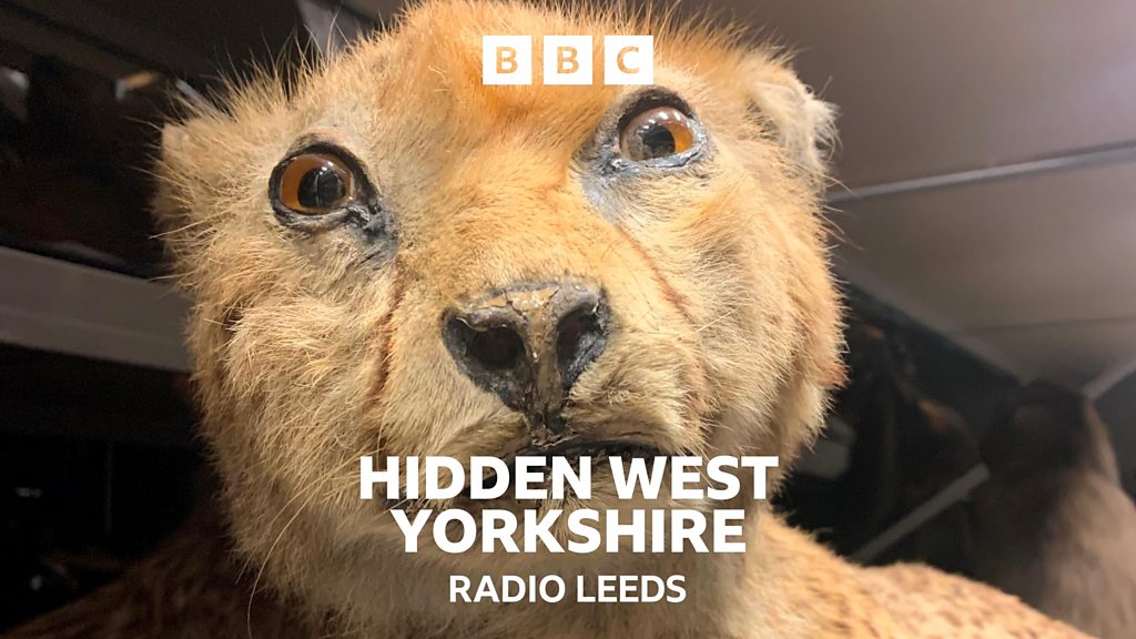 Hidden: The forgotten treasures of Leeds - BBC Sounds