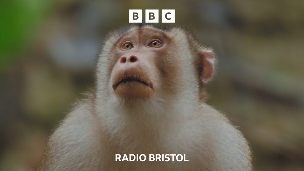 Mammals: This week’s episode made by Bristol producer - BBC Sounds