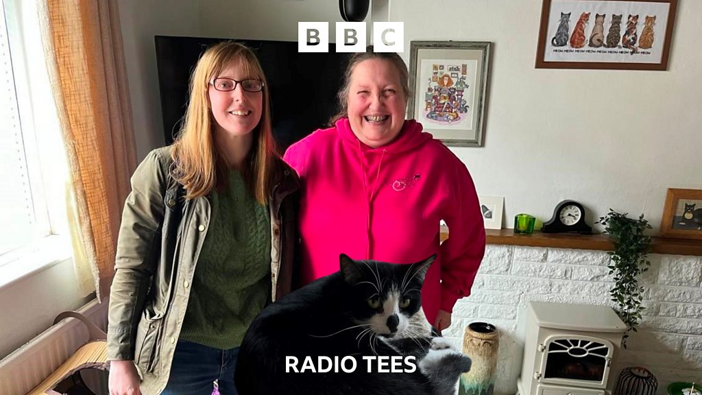 'We're a last resort for cats' - Loftus charity - BBC Sounds