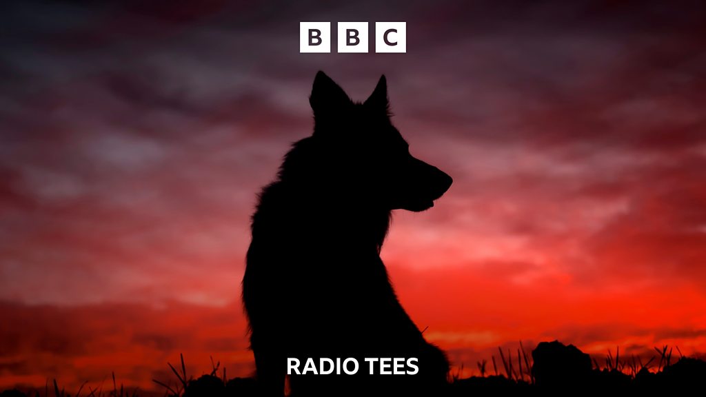 Tees Tales: The Gytrash of North Yorkshire - BBC Sounds