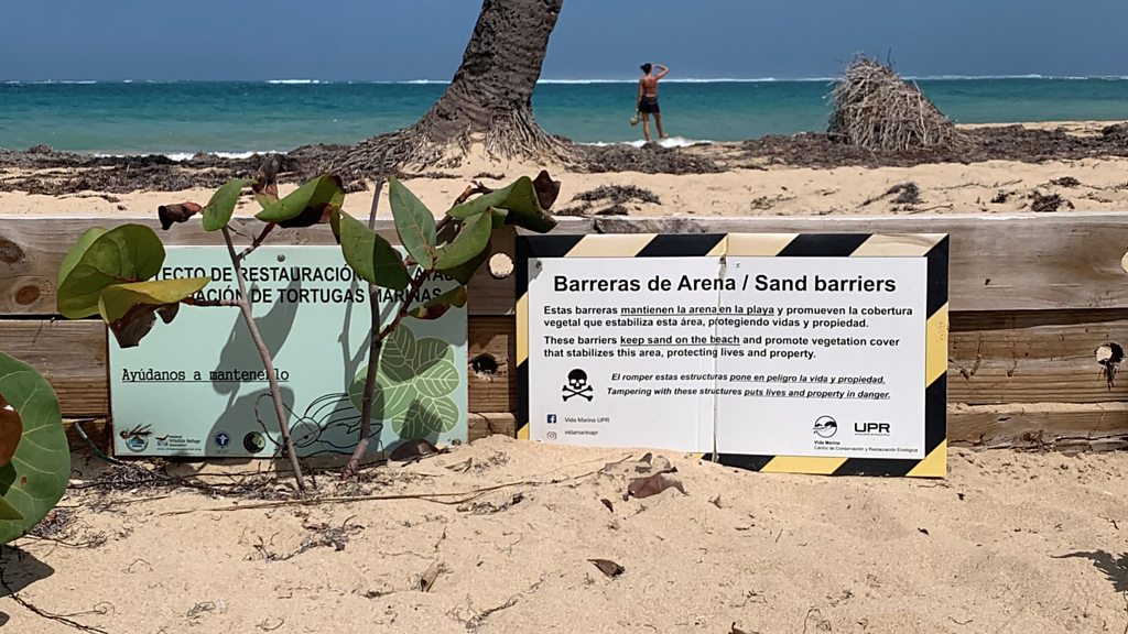 CrowdScience - How should we protect our coastlines? - BBC Sounds