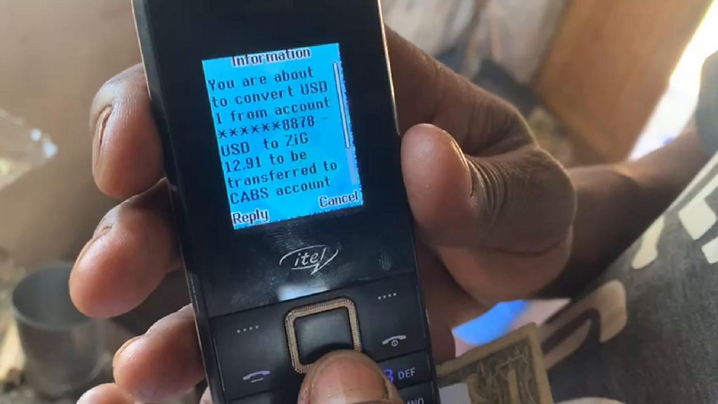 Is Zimbabwe zigzagging into further currency chaos?