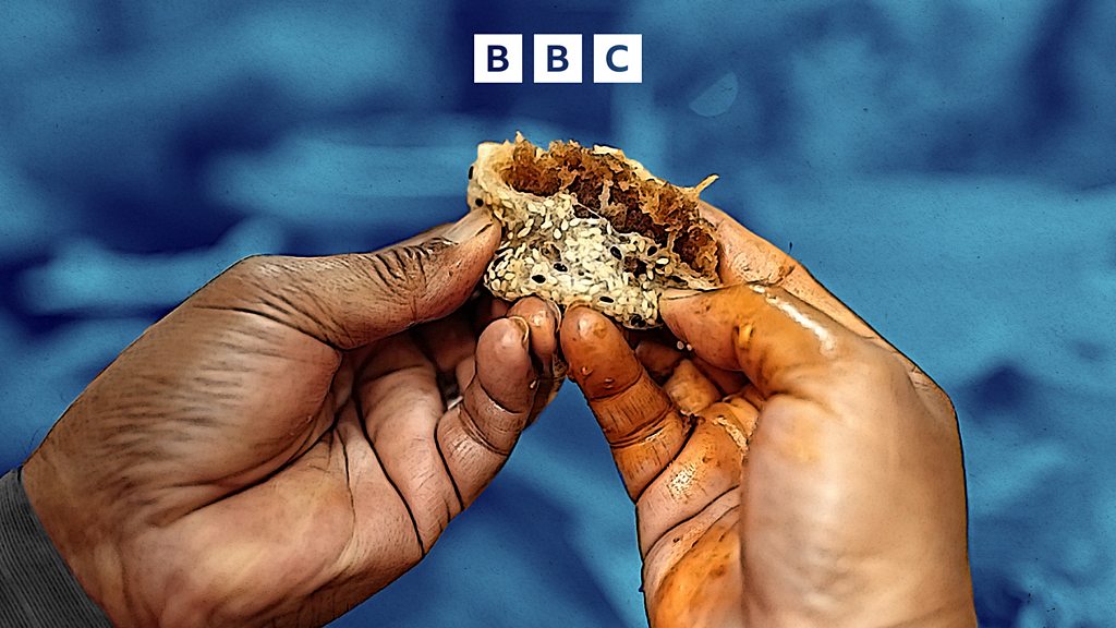 BBC Audio | The Food Chain | Eat with your hands