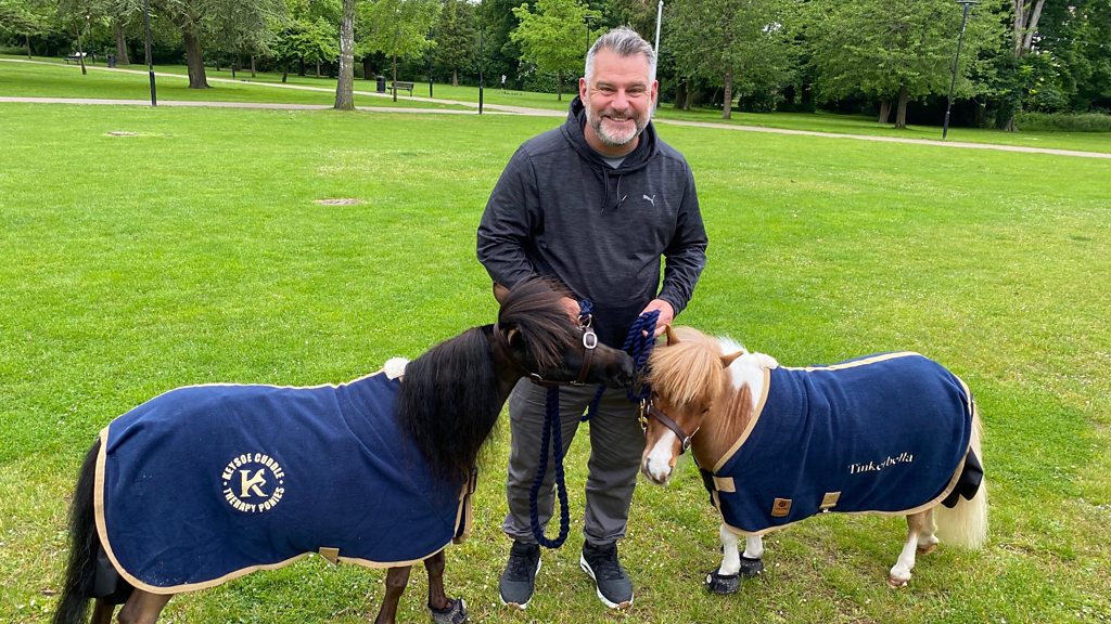 Andy Collins - Andy meets Shetland Ponies - BBC Sounds
