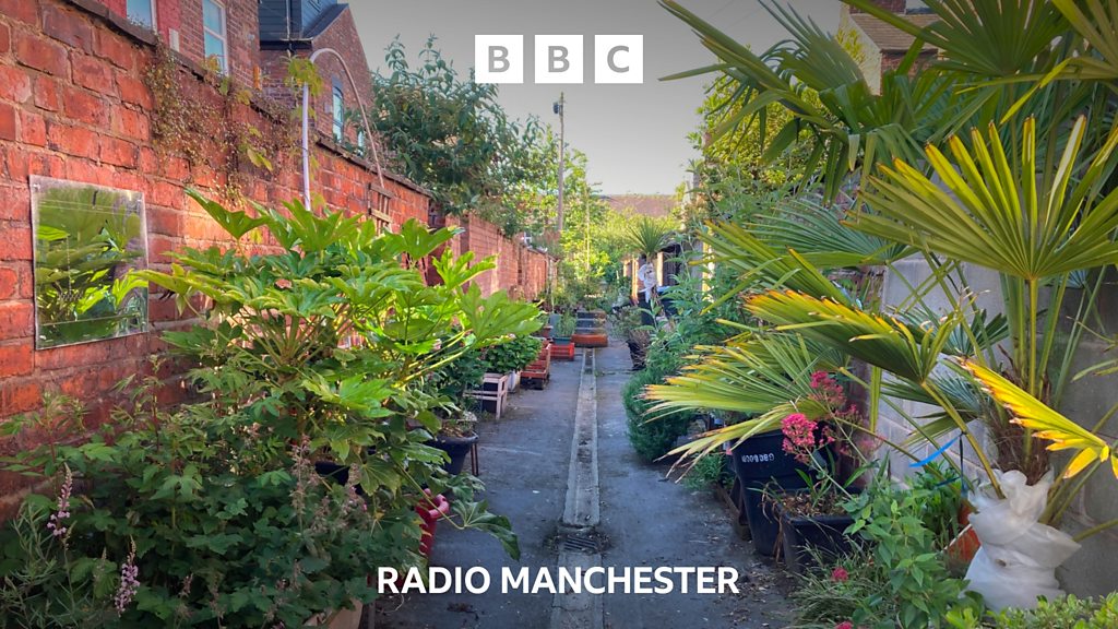How to create a ginnel garden in Manchester - BBC Sounds