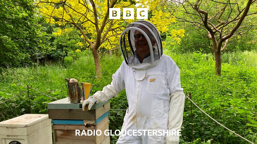 Bees and the threat of Asian Hornets - BBC Sounds