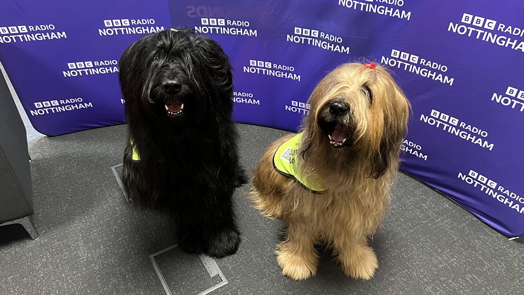 Make a Difference: BBC Radio Nottingham - Ruby and Bertie are finalists ...