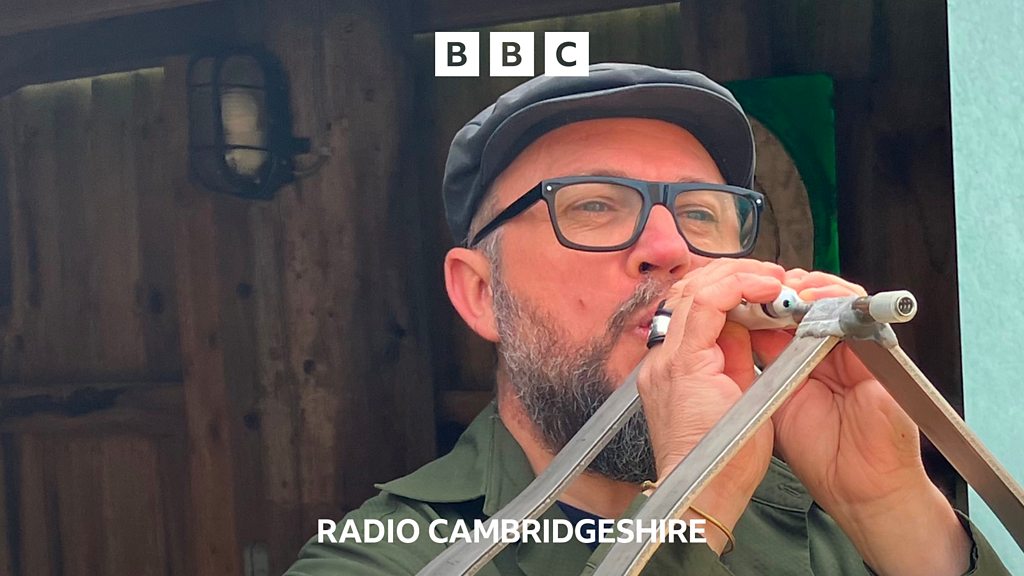 Taking the pea - BBC Sounds