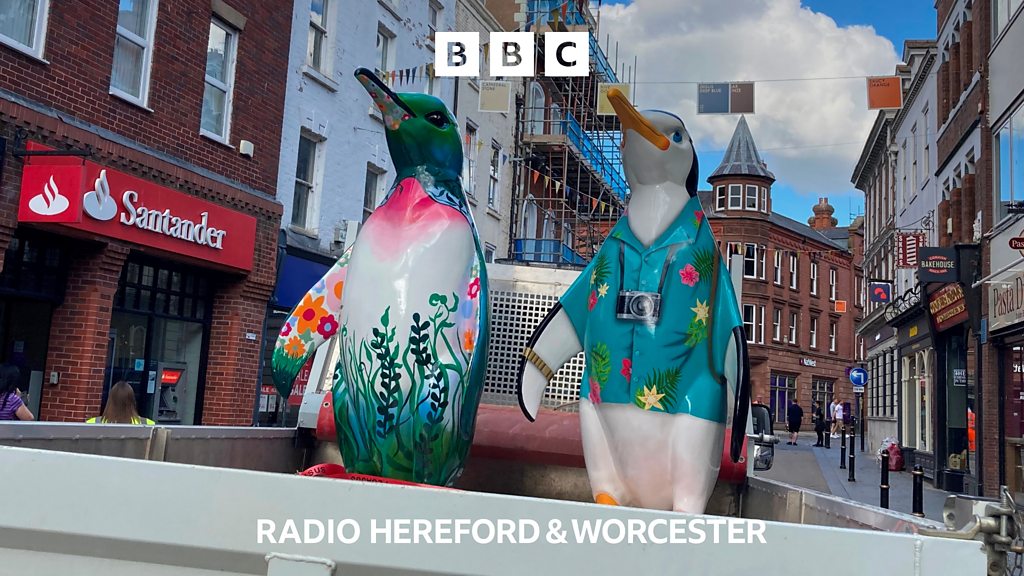 Unveiling the great 'Waddle of Worcester' - BBC Sounds