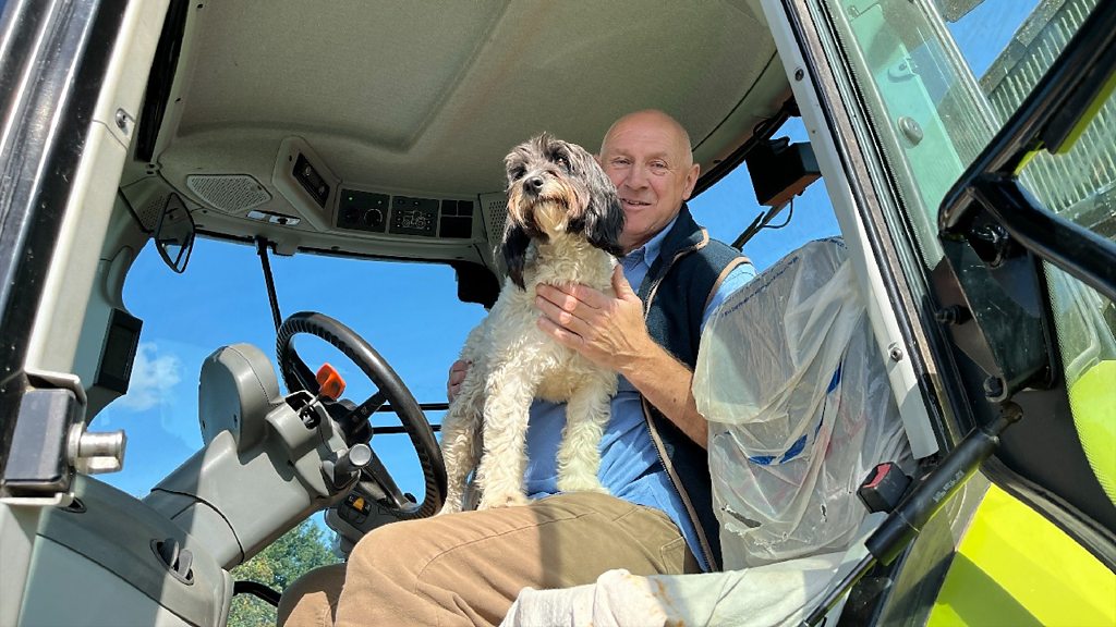 Chris Mann - Farmwatch: Tim Scott, tenant farmer at Lark Rise Farm in ...