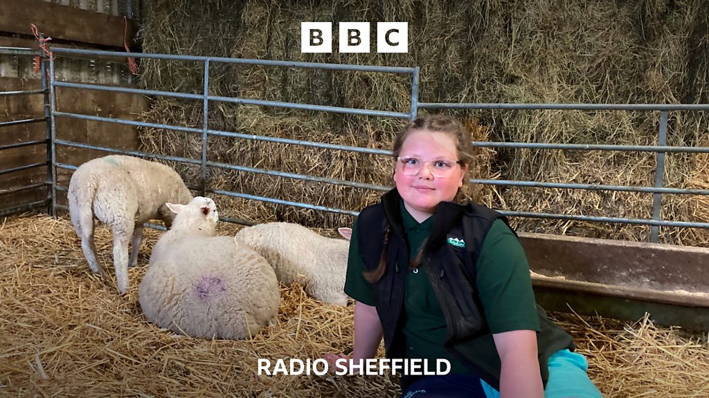 Holly: Sheffield's 11-year-old farmer - BBC Sounds
