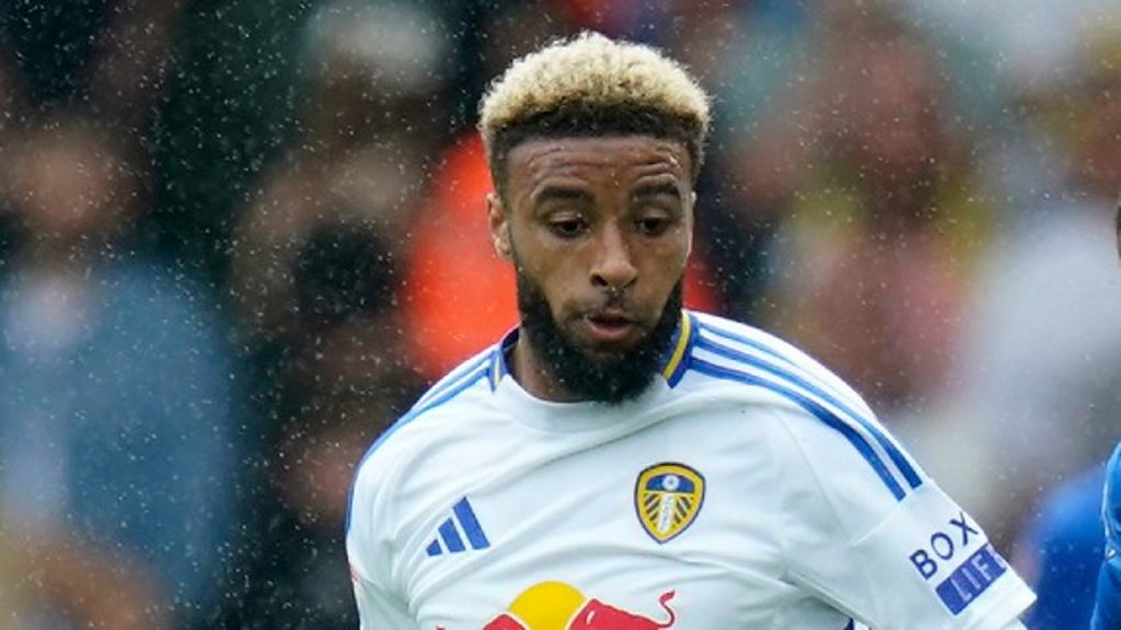 West Yorkshire Sport Daily - Sheffield Wednesday 0-2 Leeds United ...