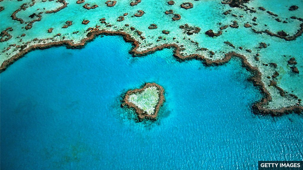 BBC Learning English - BBC Media English “媒体英语”：Great Barrier Reef: new study reveals threat of ...