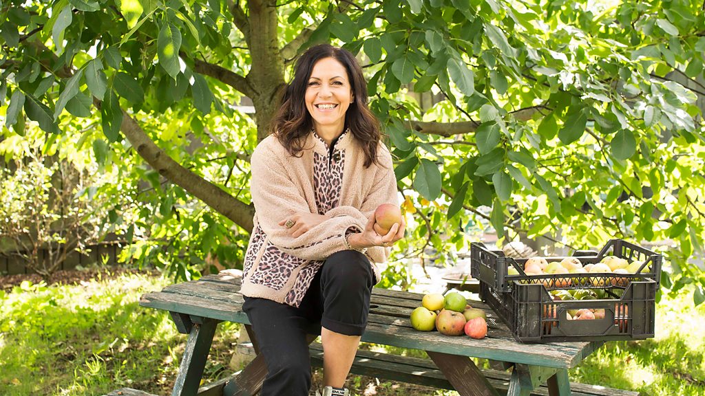 Radio 4 Appeal - The Orchard Project - BBC Sounds