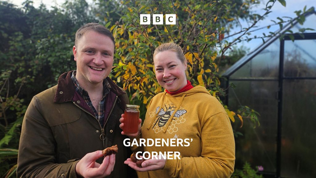 Gardeners' Corner - Trees for small spaces, the magic of Medlars and ...