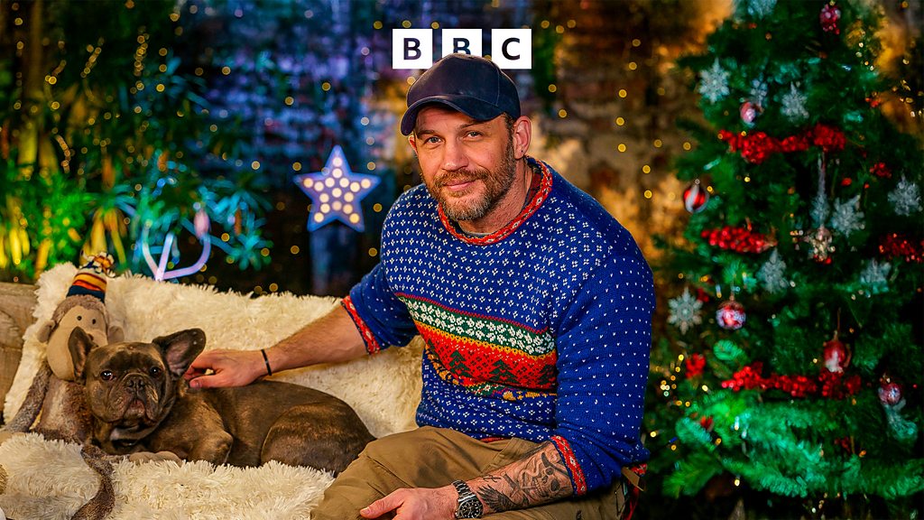 CBeebies Bedtime Stories - The Christmas Pine - BBC Sounds