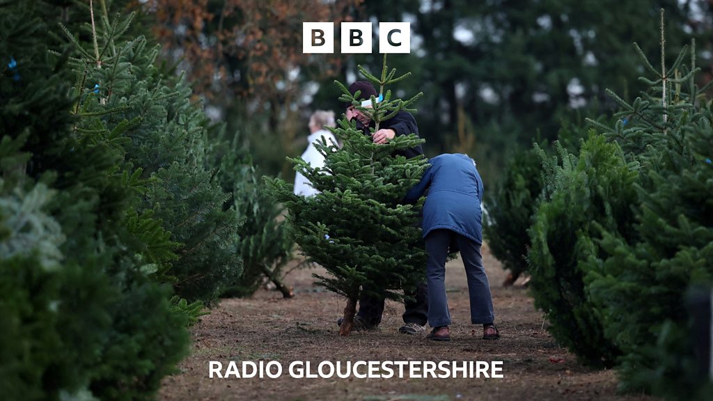 Would you rent a Christmas tree? - BBC Sounds