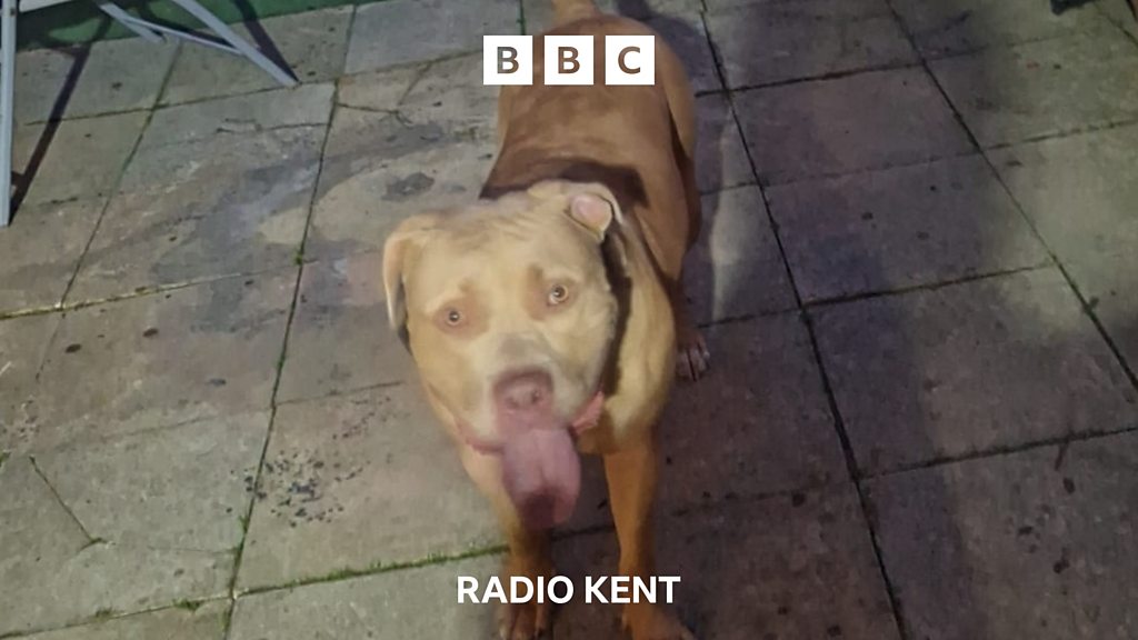 Hawkinge baby attack 'out of character' - BBC Sounds