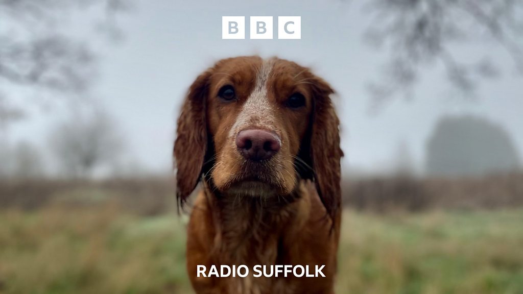 Suffolk: New Year's weather forecast - BBC Sounds