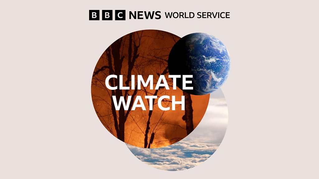BBC Sounds - BBC Climate Watch - Available Episodes
