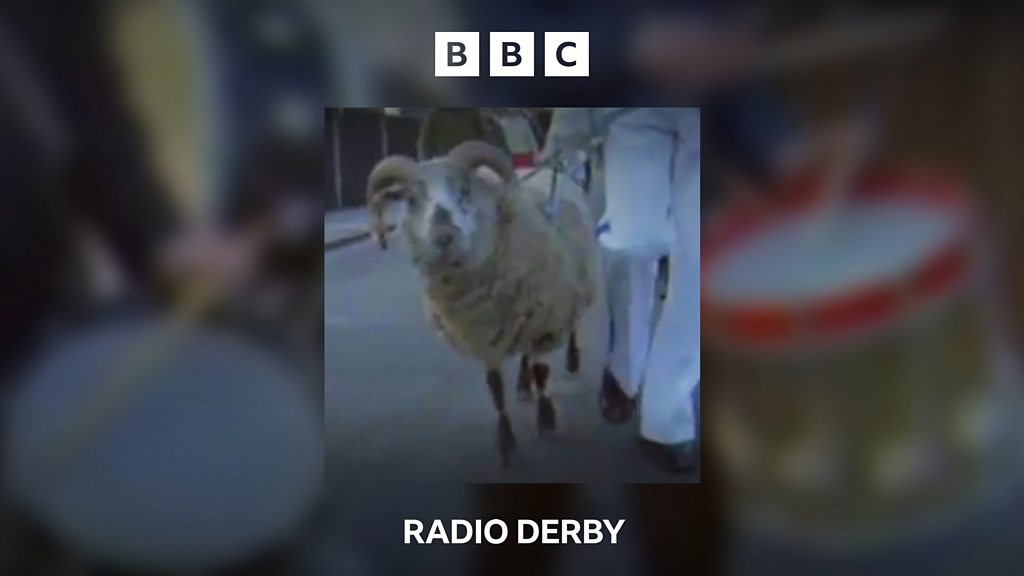 Secret Derbyshire - 'Major' the ram - BBC Sounds