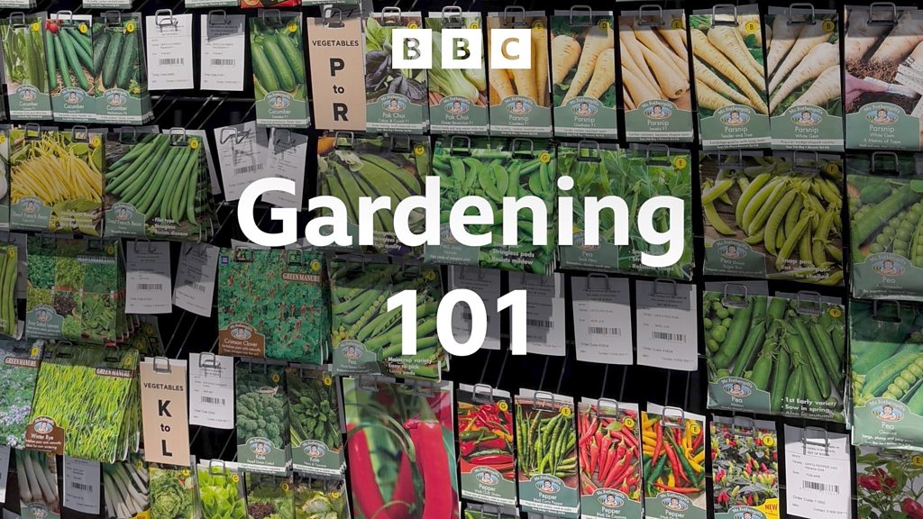Pat Marsh on BBC Radio Kent - Gardening 101: New things to grow in ...