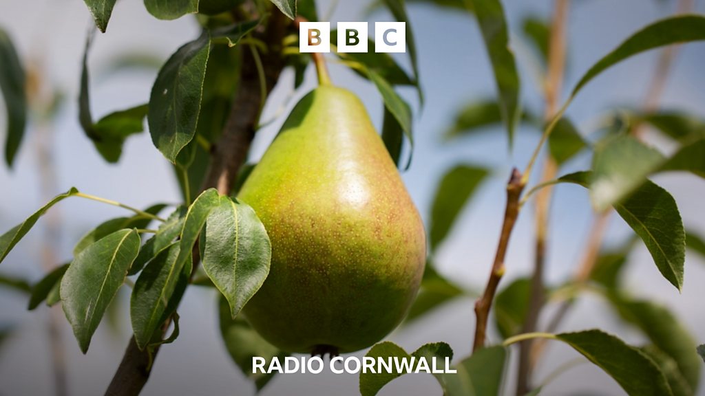 'Totally unique' pear is discovered in Launceston - BBC Sounds